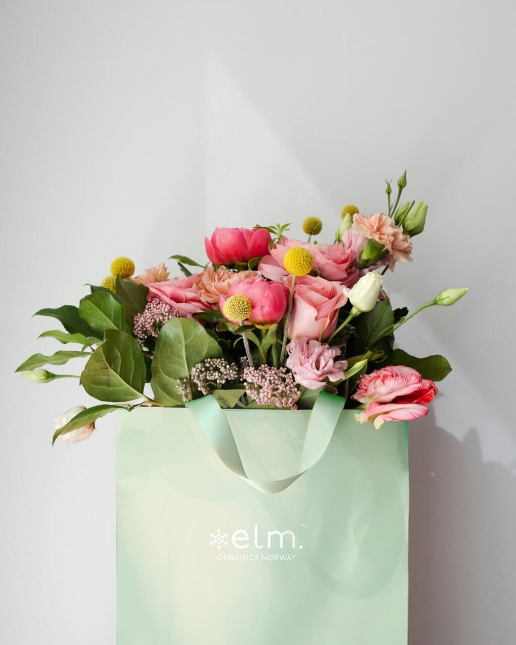 Gavesett | Elm Organics